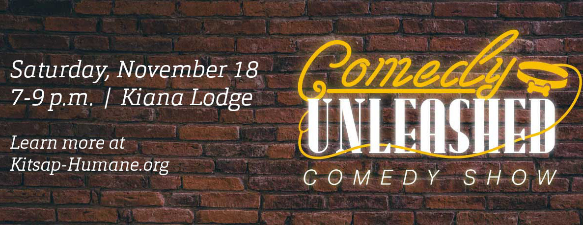Comedy Unleashed II